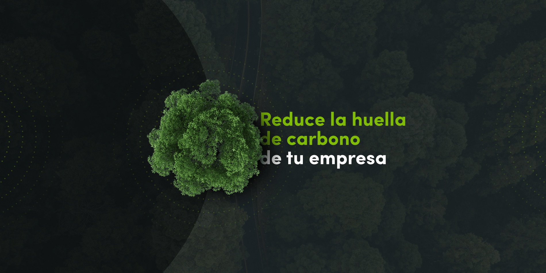 Reduce la huella de carbono de tu empresa - Sustainability Suite